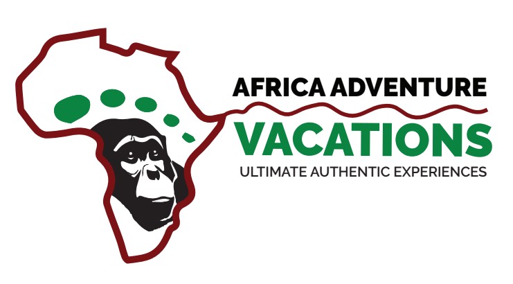 Why Choose To Take Africa Adventure Vacations company