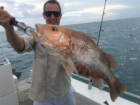 Fishing Safaris On Lake Victoria In Uganda- Sport Fishing In Entebbe