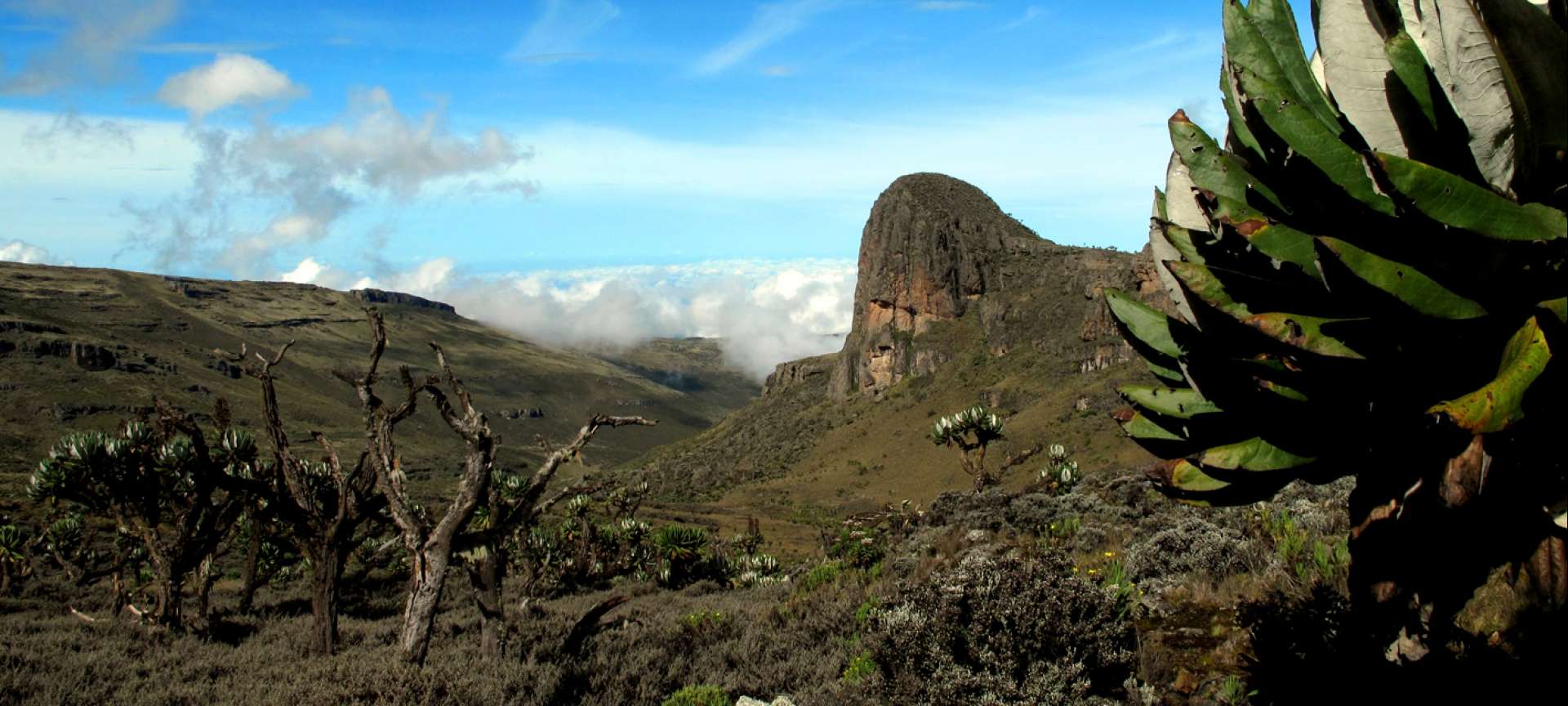 What To See In Mount Elgon National Park- Caldera, Jackson's Pool